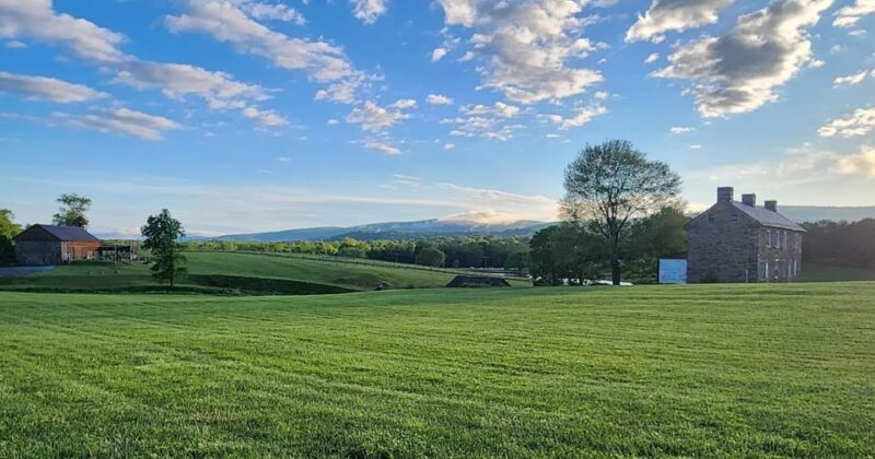 Full Day Winery Tour from Metro DC & Leesburg - 3 Wineries - The Sum Up: Who Will Love This Tour?