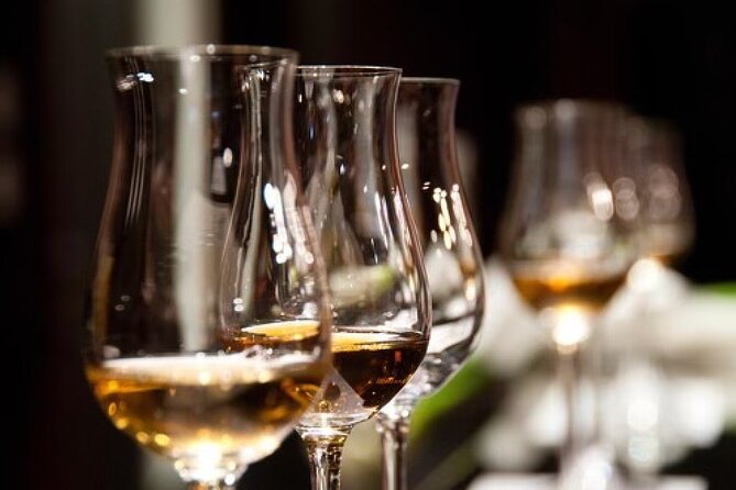 Gin & Rum Tasting in Frankfurt Am Main - Gin Tasting Highlights