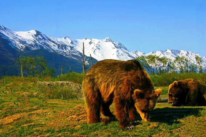 Glacier View & Wildlife Anchorage Adventure Tour - Booking Flexibility