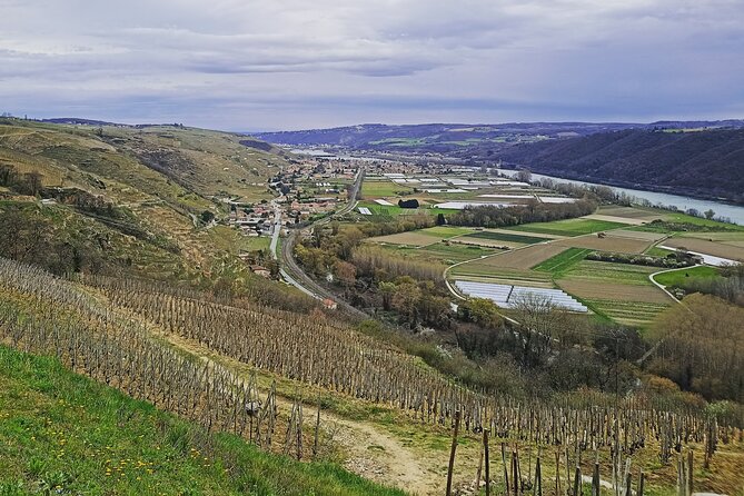 Guided Day Tour and Wine Tasting Northern Rhône Valley - Booking Information and Cancellation Policy