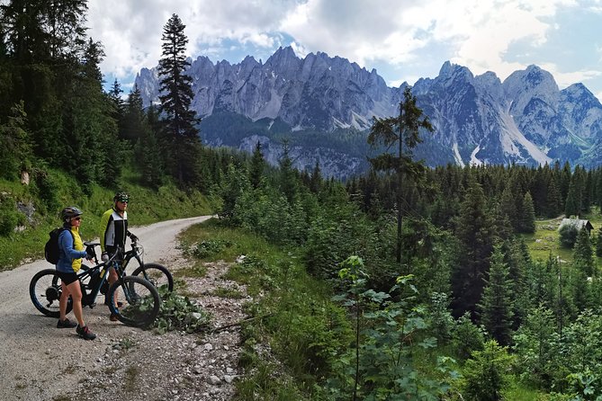 Guided E-Bike Tour of the Alpine Pastures in the Salzkammergut - Tailoring the Tour to Participant Needs