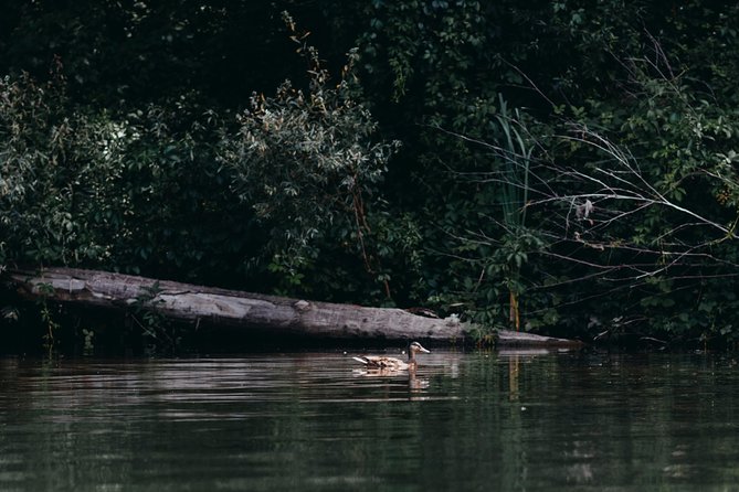 Guided Kayaking on the Nalón River Oviedo - Highlights and Recommendations