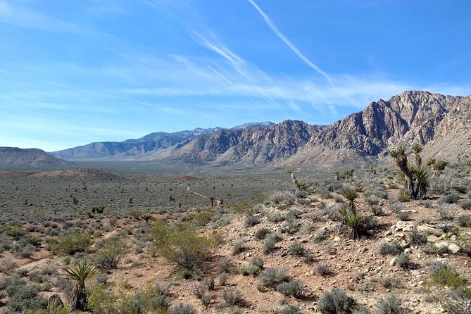 Guided Mountain Bike Tour of Mustang Trail in Red Rock Canyon - Booking and Reservation