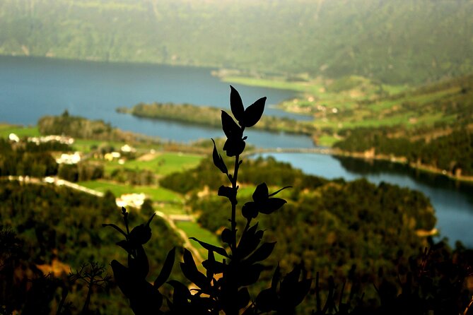 Half-Day 4x4 Tour to Lagoa Das Sete Cidades - Group Size and Exclusivity