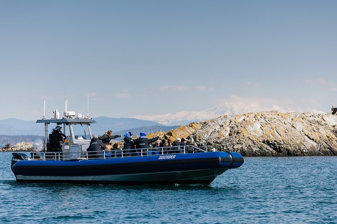 Half-Day Anacortes Whale and Wildlife Watching Guided Adventure - Tour Details and Meeting Point