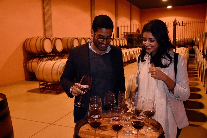 Half Day Rioja Wine Tour - Discovering Winemaking Methods