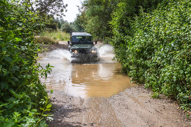 Half-day tour 4x4 West Coast of the Natural Park - The Sum Up: Who is this tour best for?