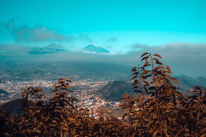 Half Day Tour Discovering Anaga Tenerife - Frequently Asked Questions