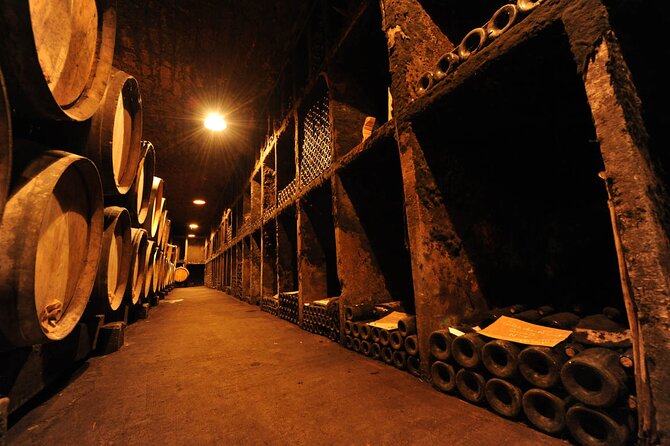 Half Day Tour of the Cote De Nuits Vineyards From Dijon - Recommended Experiences