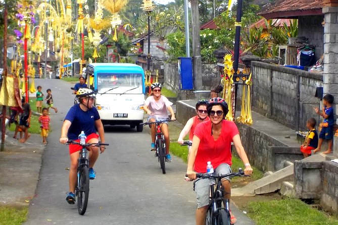 Half-Day Ubud Electric Cycling Tour to Tirta Empul Water Temple - Price and Value