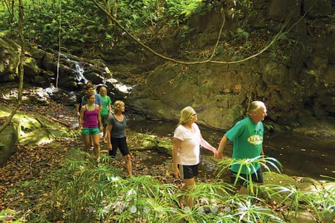 Hidden Valley Falls Kayak and Kauai Hike Adventure - Participant Experience and Reviews