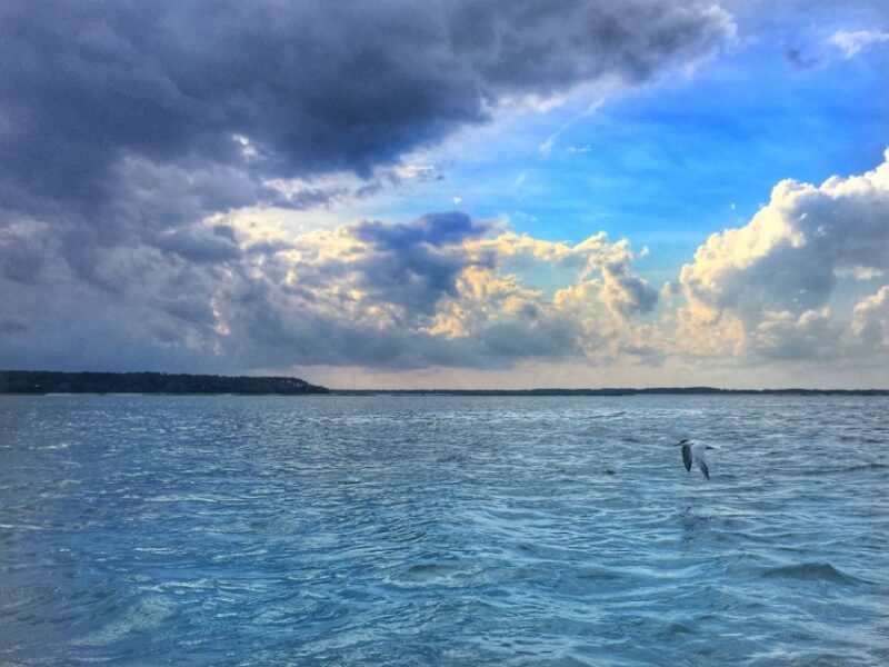 Hilton Head Island: Pontoon Boat Rental - FAQs