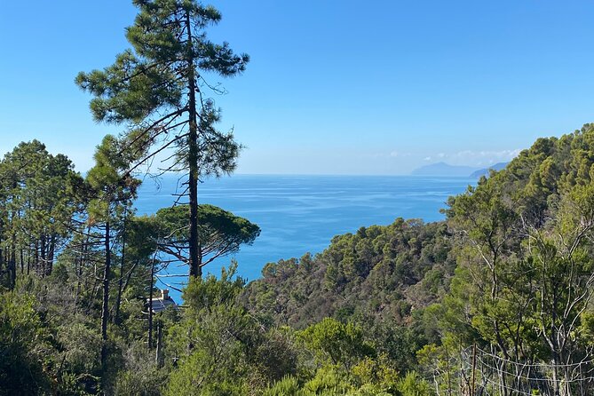 Horse Ride on the Coast of Monterosso Al Mare Cinque Terre - Sunset Ride Experiences