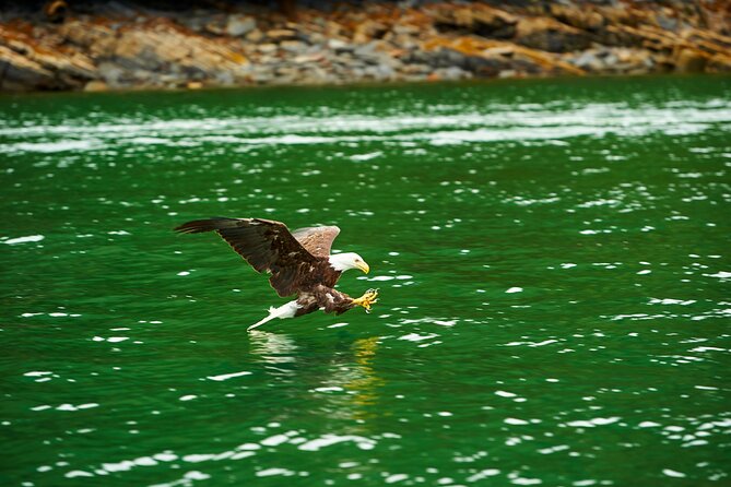 Hovercraft Eco Adventure and Wildlife Viewing - Whats Included in Your Tour