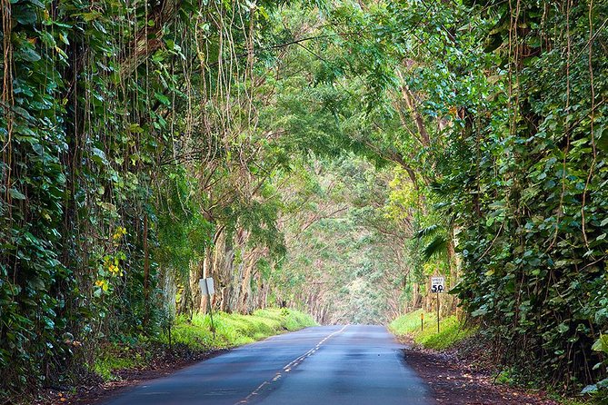 Kauai Highlights Small-Group Tour: A Taste of the South and West - Inclusive Tour Experience