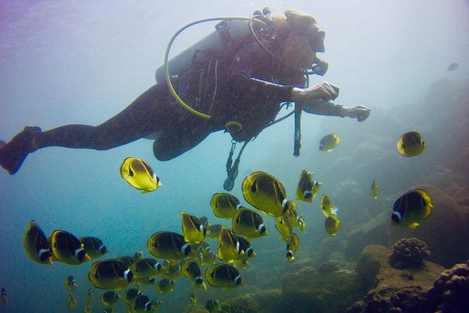 Kauais Ultimate South Shore 2 Tank Dive (Certified Divers Only) - Dive Site Highlights
