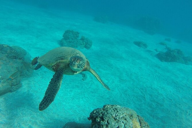 Kayak and Snorkel: Maui West Shore - Accessibility and Inclusivity