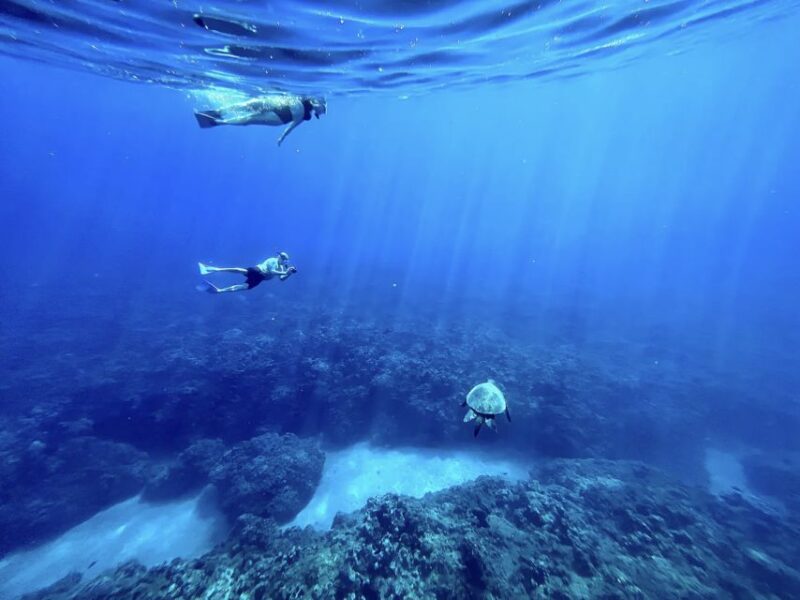 Kayak, Whale Watch And Snorkel At Turtle Town - Frequently Asked Questions