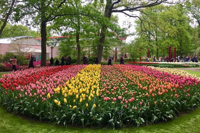 Keukenhofs Tulips and Windmills Small-Group Tour From Amsterdam - Exploring the Keukenhof Gardens