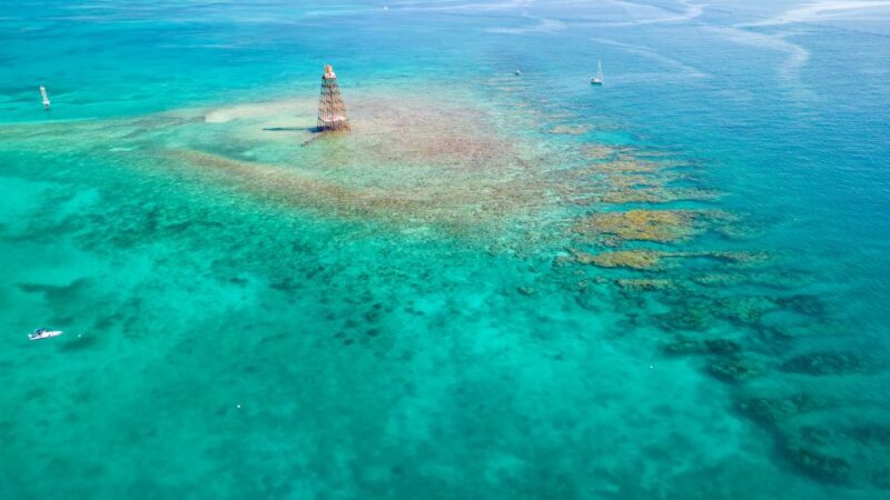 Key West: Reef Snorkel Morning Tour with Breakfast & Mimosas - Value for Money