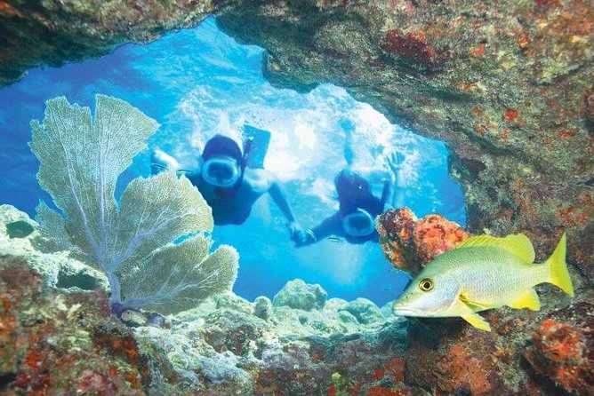 Key West Rum and Reggae:Reef Snorkel Adventure and Sunset Sail - How to Book Your Adventure