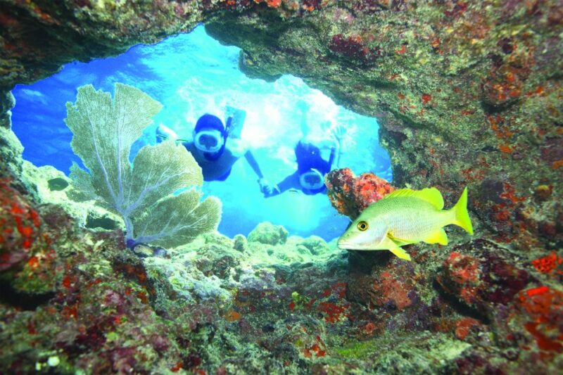 Key West: The Ultimate Do It All Watersports Experience - FAQ