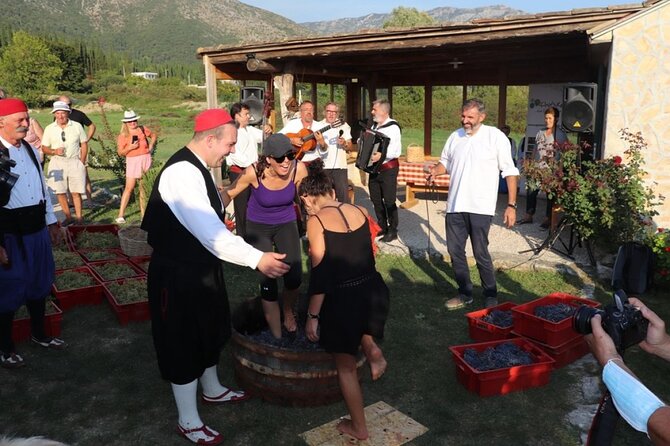 Konavle Wine Tasting Tour From Dubrovnik With 2 Vinerys - Customer Experiences