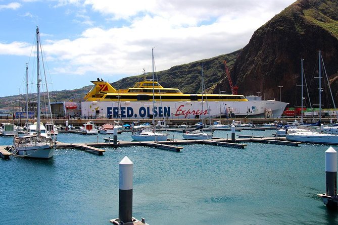 La Gomera Day Trip From Tenerife - Navigating the Trips Reviews and Feedback