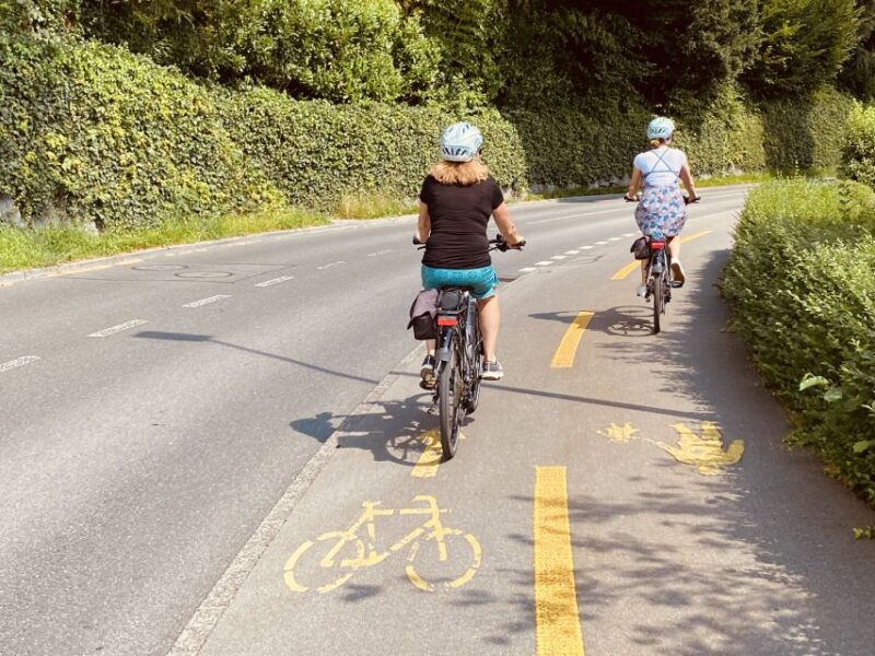 Lake Lucerne Peninsula E-Bike Tour - Alpine Vistas and Picturesque Stops