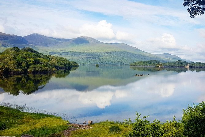 Lakes of Killarney Cruise - Who Should Consider This Tour?