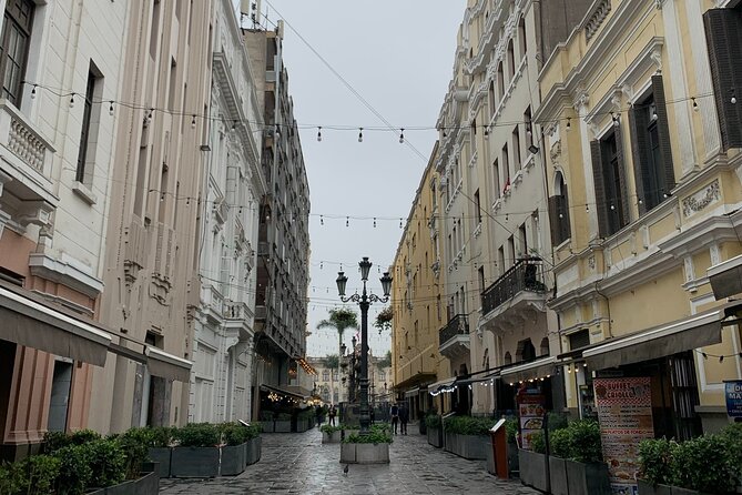Lima City of The Kings Walking Tour Including Catacombs - Additional Tour Details