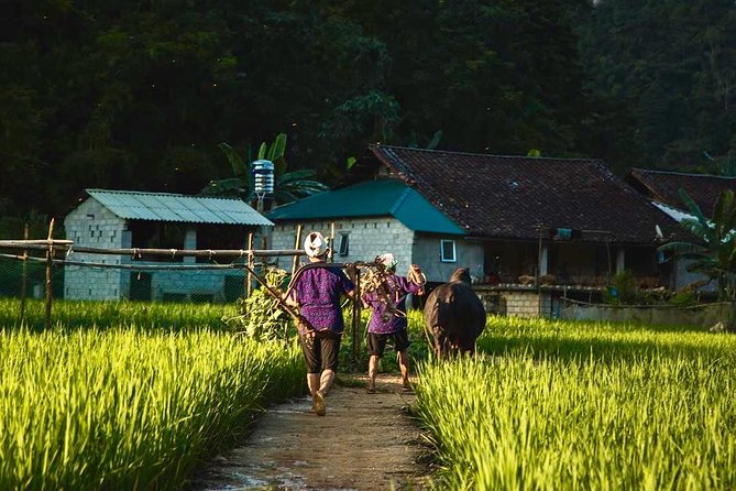 Majesty Of Untouched Northern Vietnam Tour 6 Days - Who Should Consider This Tour?