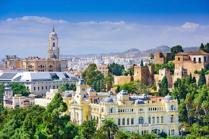 Málaga Picasso Museum Private Guided Tour - Highlights From Recent Tour Reviews
