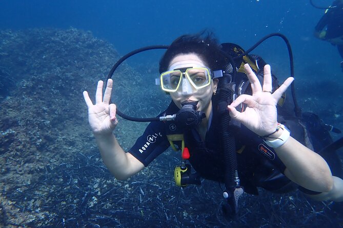 Mallorca: Try Scuba Diving in a Beautiful Nature Reserve - Exploring the Underwater World