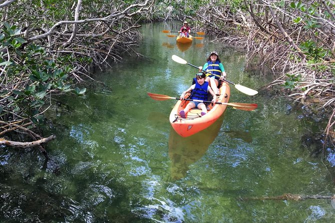 Mangroves and Manatees - Guided Kayak Eco Tour - FAQ: Common Questions Answered