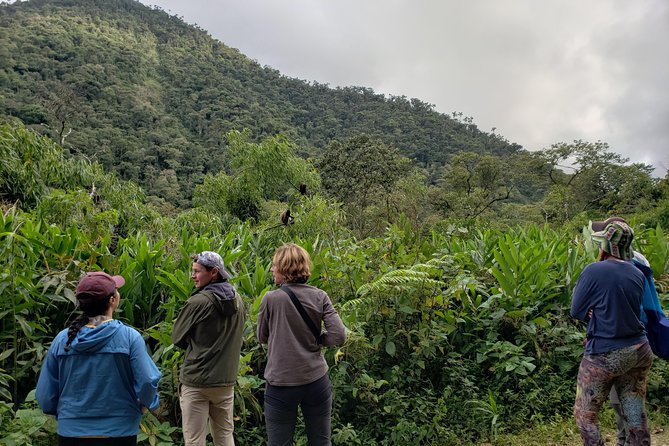Manu National Park Tour 4days/3night - Booking Flexibility and Confirmation
