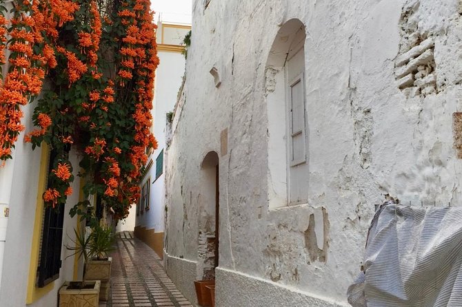 Marbella Old Town Group Tour With a True Local - Accessibility and Safety Considerations