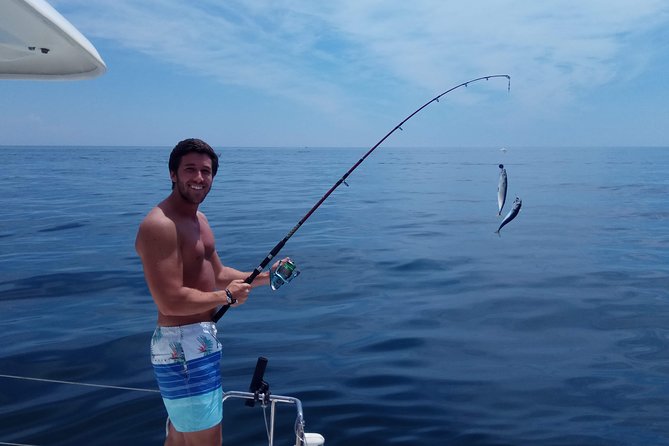 Marbella Small Group Catamaran With Dolphin Watching - What to Expect on the Catamaran Excursion