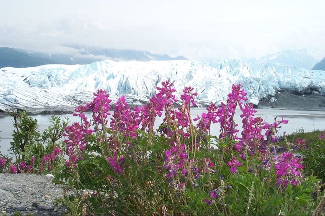 Matanuska Glacier Winter Tour - Customer Feedback and Highlights of the Tour