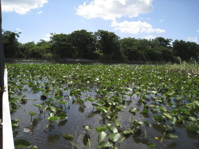 Miami Beach: Everglades Airboat Tours and Rides - Authenticity and Experience
