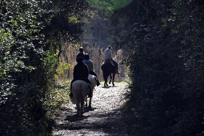 Montserrat Horseback Riding & Monastery Small Group Tour - Traveler Feedback and Recommendations