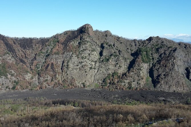 Mount Vesuvius Tour by Bus and Ticket Included From Ercolano - Navigating the Hiking Trail to the Crater