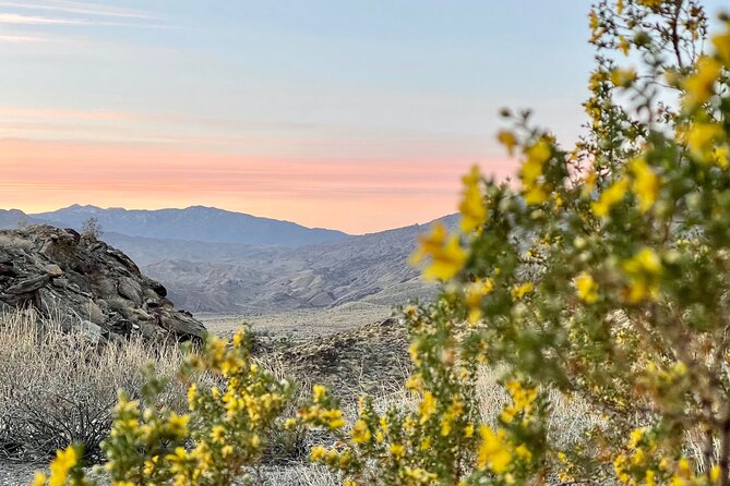 Mountain Sunrise Hike and Meditation in Palm Springs - Unique Features of the Hike