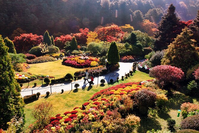 Nami Island & Garden of Morning Calm & Gangchon Railbike Tour - The Experience in a Nutshell