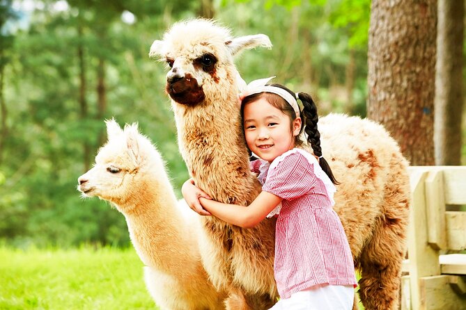 Nami+Alpaca+Garden of Morning Calm (+Rail Bike Option) - FAQ