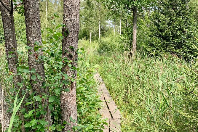 Nature Reserve Hiking Tour With Campfire Lunch - Campfire Lunch Experience