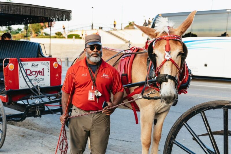 New Orleans: French Quarter Sightseeing Carriage Ride - Price and Overall Value