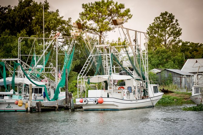 New Orleans Swamp and Bayou Sightseeing Tour with Transportation - Practical Details: Duration, Group Size, and Cost