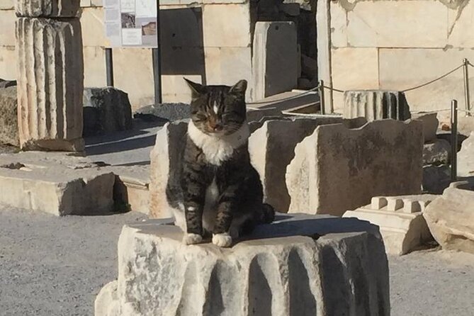 NO HIDDEN FEES Private Ephesus With Skip the Line Tickets - Safety and Accessibility