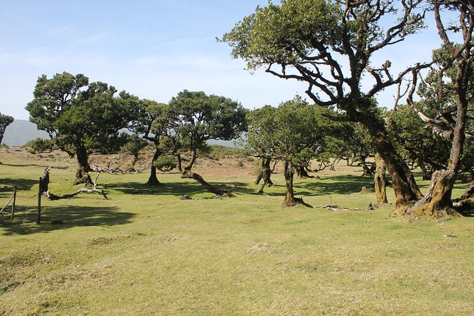 Northwest Landscapes, UNESCO & Volcanic Pools 4x4 Experience - Hear What Travelers Are Saying